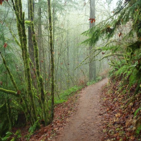 Metolius-Windigo Trail is designated an Oregon Scenic Trail | Oregon ...